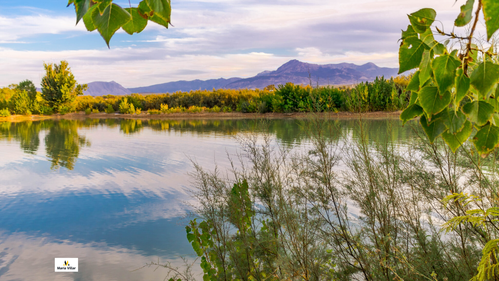Laguna Grande | Baeza